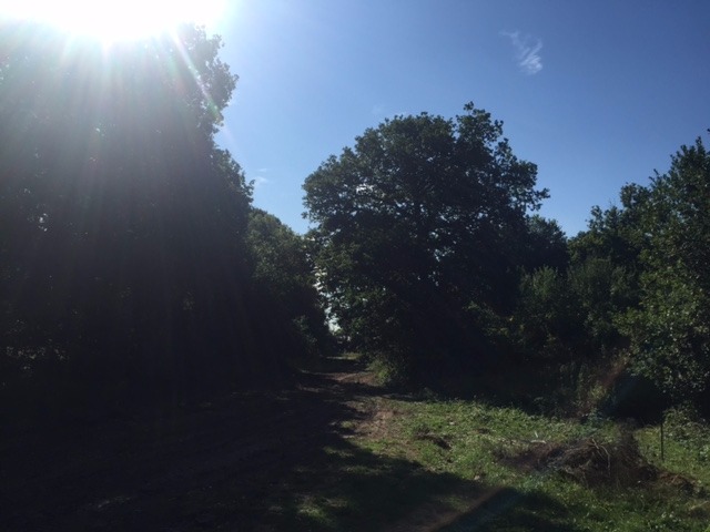 Bigods Hall Shoot, Essex - Availability on GunsOnPegs