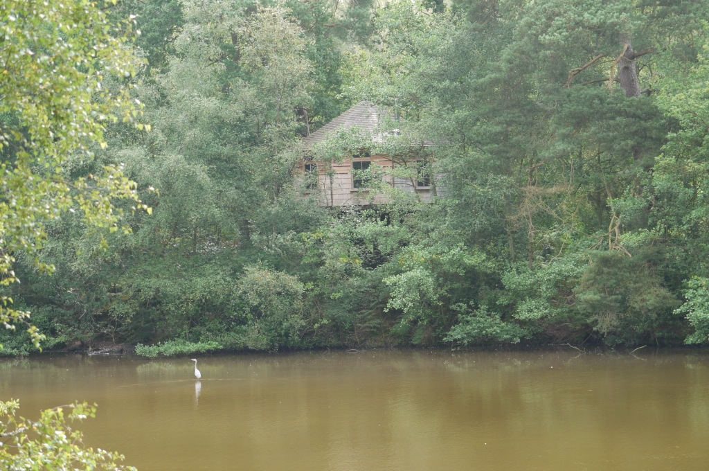 Lower Beeding, West Sussex - Availability on GunsOnPegs