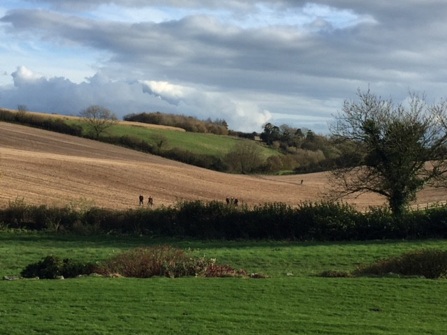 Higher Langdon Farm Shoot, Dorset - Availability on GunsOnPegs