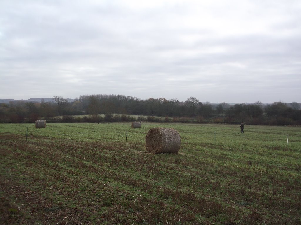 Evenlode Valley Shoot, Oxfordshire - Availability on GunsOnPegs