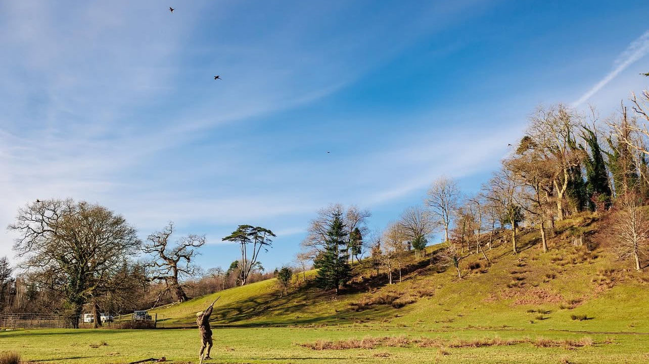 Kevelek Sporting, Devon - Availability on GunsOnPegs