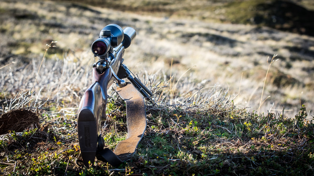 Penninghame Deer Stalking, Wigtownshire - Availability on GunsOnPegs