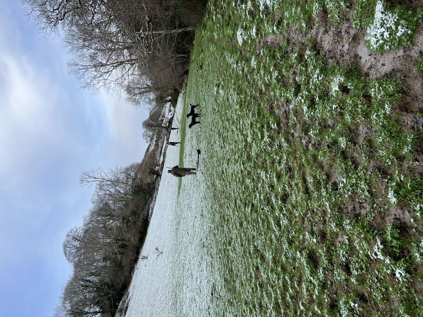 Morval Shoot, Cornwall - Availability on GunsOnPegs