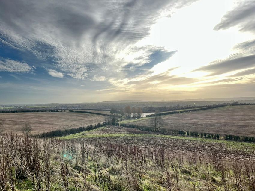Ragley Hall Estate , Warwickshire - Availability on GunsOnPegs