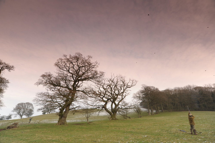Tregoyd, Powys - Availability on GunsOnPegs