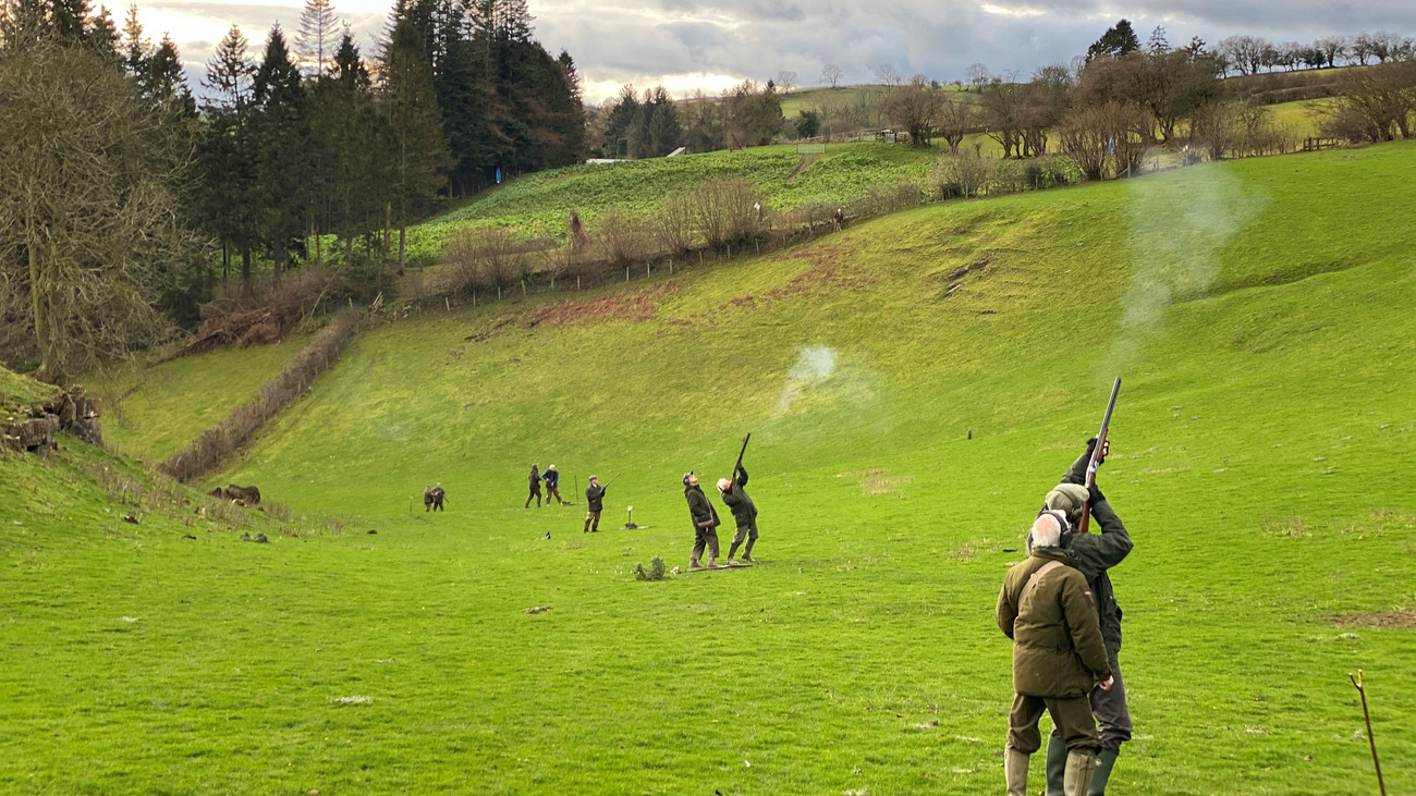 Duntz Valley Shoot, Devon - Availability on GunsOnPegs