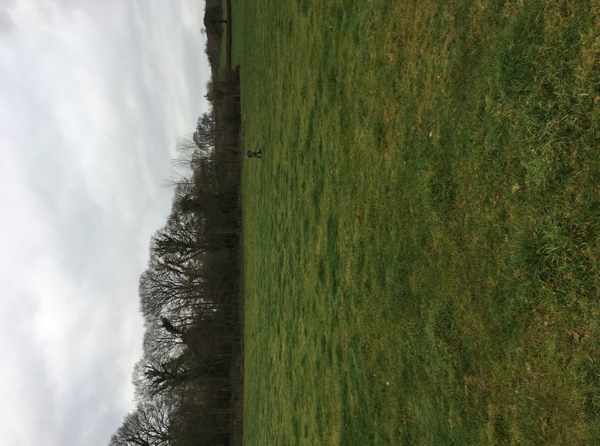 The Totleigh Barton Shoot, Devon - Availability on GunsOnPegs