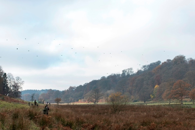 Bettws Hall - Bettws Hall, Powys - Availability on GunsOnPegs