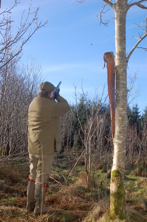 Mulberry Shoot, Ireland - Availability on GunsOnPegs