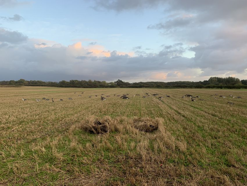 Parrox Hall estate , Lancashire - Availability on GunsOnPegs