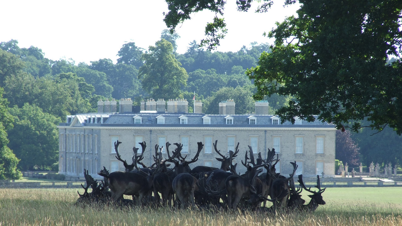 The Althorp Estate, Northamptonshire - Availability on GunsOnPegs