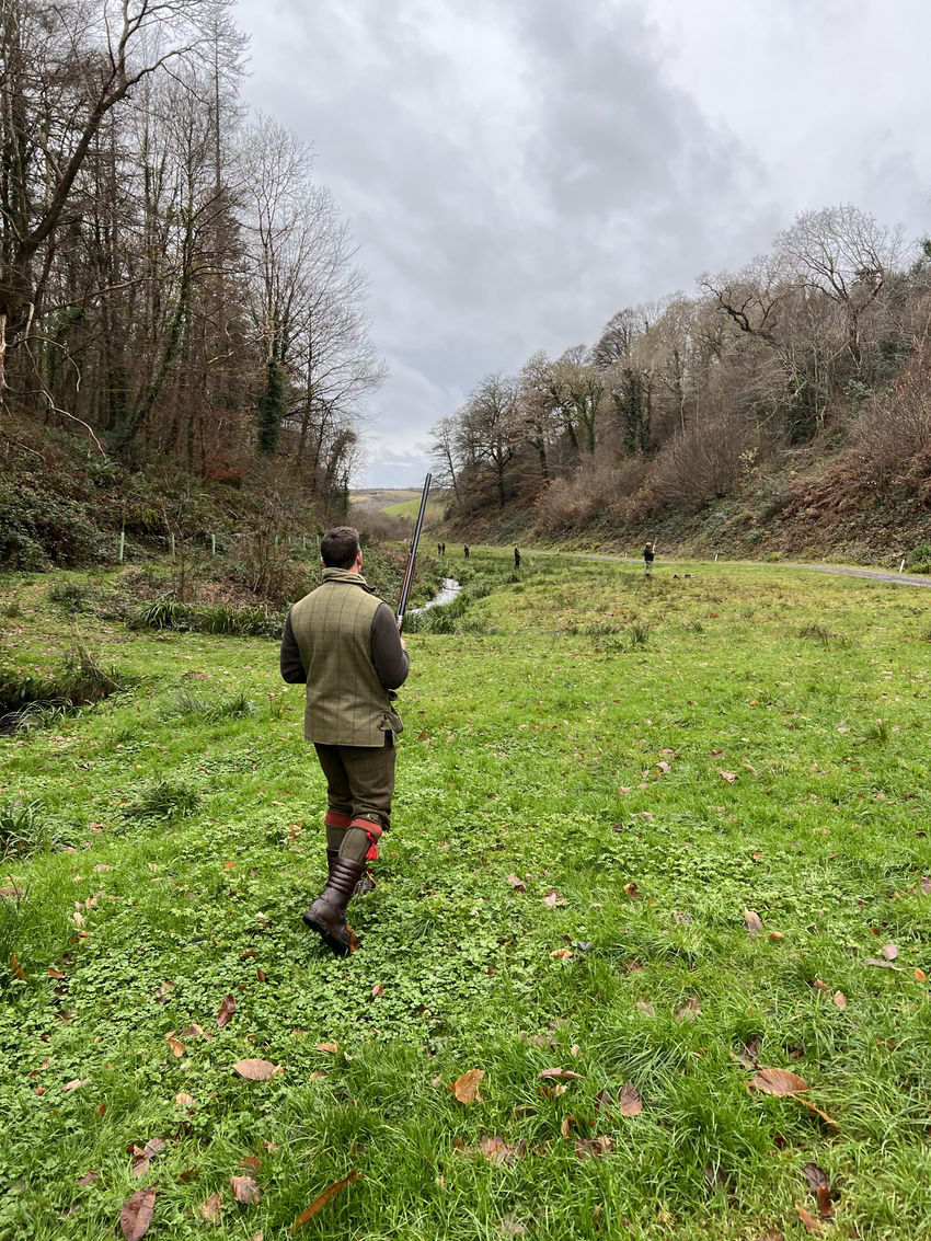 Morval Shoot, Cornwall - Availability on GunsOnPegs