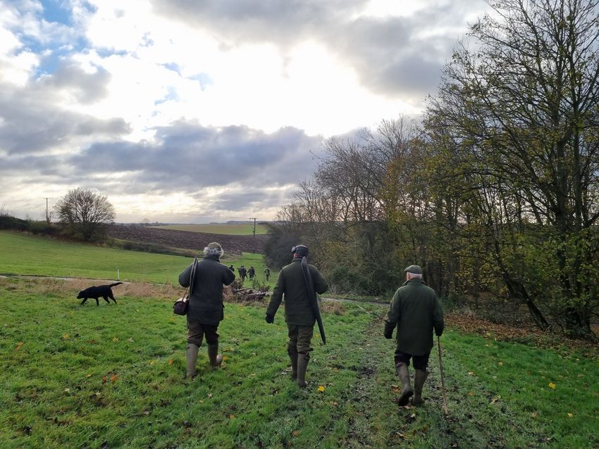 Cainhoe Manor- Bedfordshire, Bedfordshire - Availability on GunsOnPegs