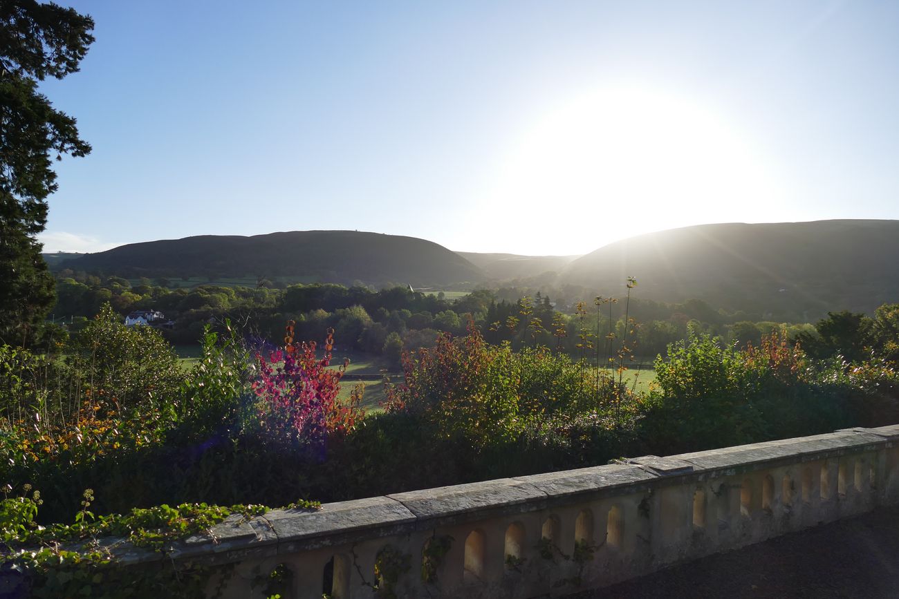 The Bettws Hall Experience - GunsOnPegs