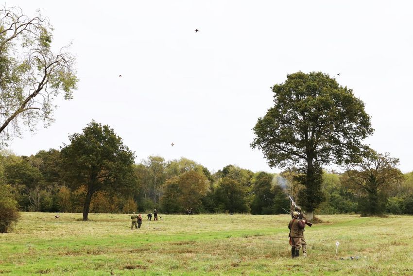 Ryde Farm Estate, Surrey - Availability on GunsOnPegs