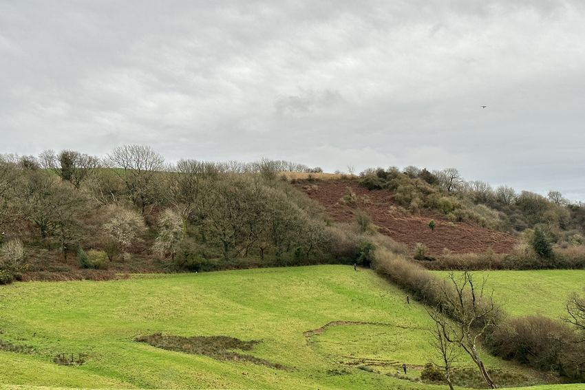 Shooting Syndicate Places Available - GunsOnPegs