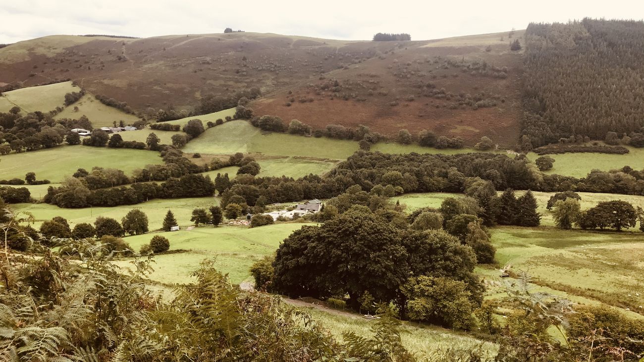 Cwm Fedw Country Sports, Powys - Availability on GunsOnPegs