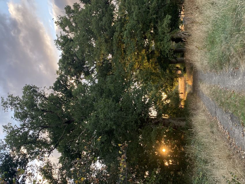 Terling Estate Shoot, Essex - Availability on GunsOnPegs