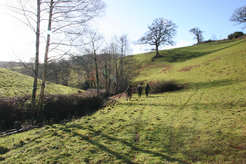 Great Fulford Estate Shoot, Devon - Availability on GunsOnPegs