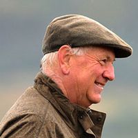 Mark Osborne writes on Scribehound