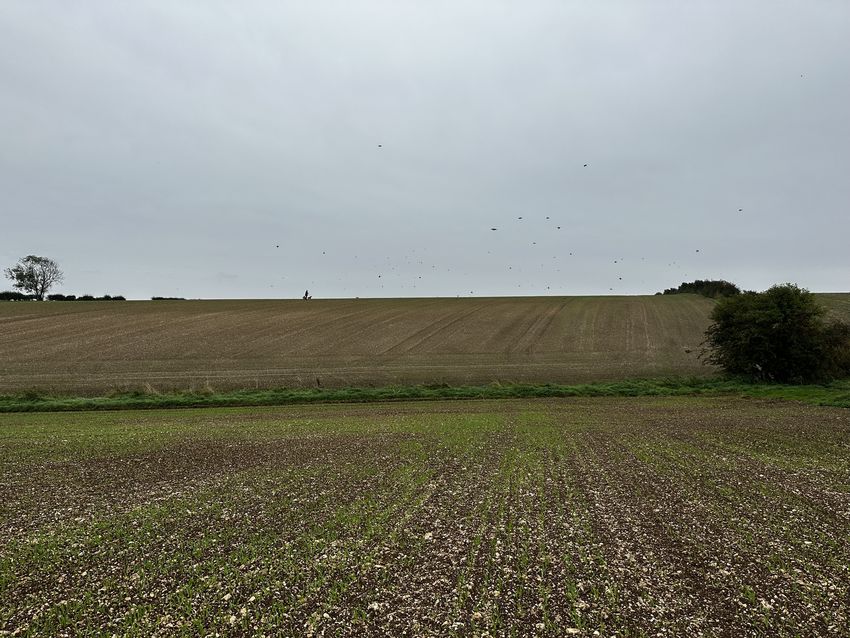 Risby Estate , East Yorkshire - Availability on GunsOnPegs