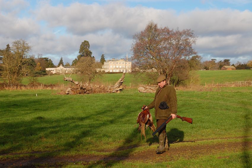 Terling Estate Shoot, Essex - Availability on GunsOnPegs