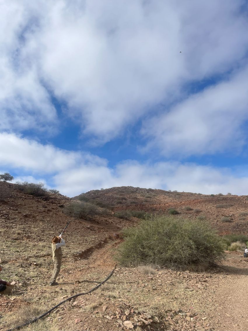 El Koudia, Morocco - Availability on GunsOnPegs