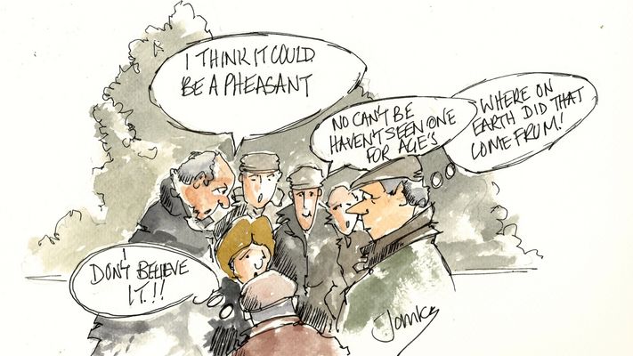 Guns, Dogs, Beaters: A Comical Journey in the Shooting Syndicate - John ...