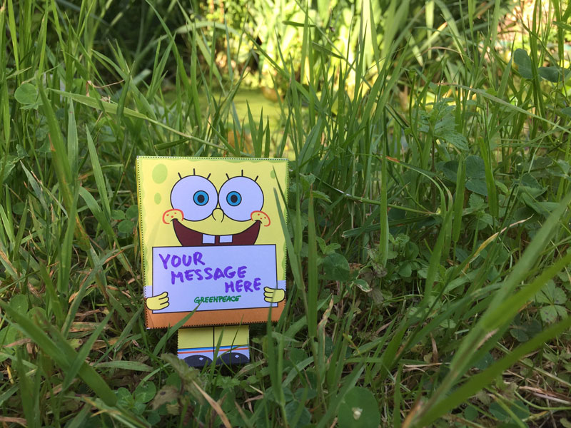 How to join the world's smallest Amazon Reef protest | Greenpeace UK