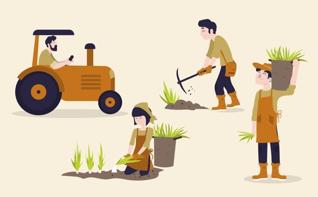 What is the process of growing crops called?