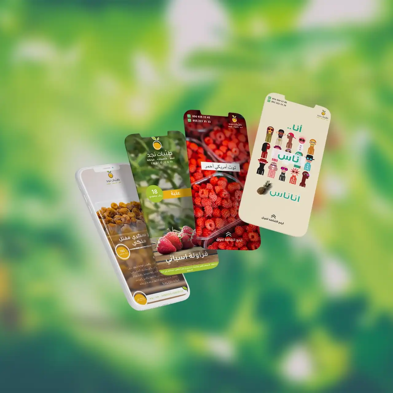 Taibat Najd for Vegetables and Fruits | GDA