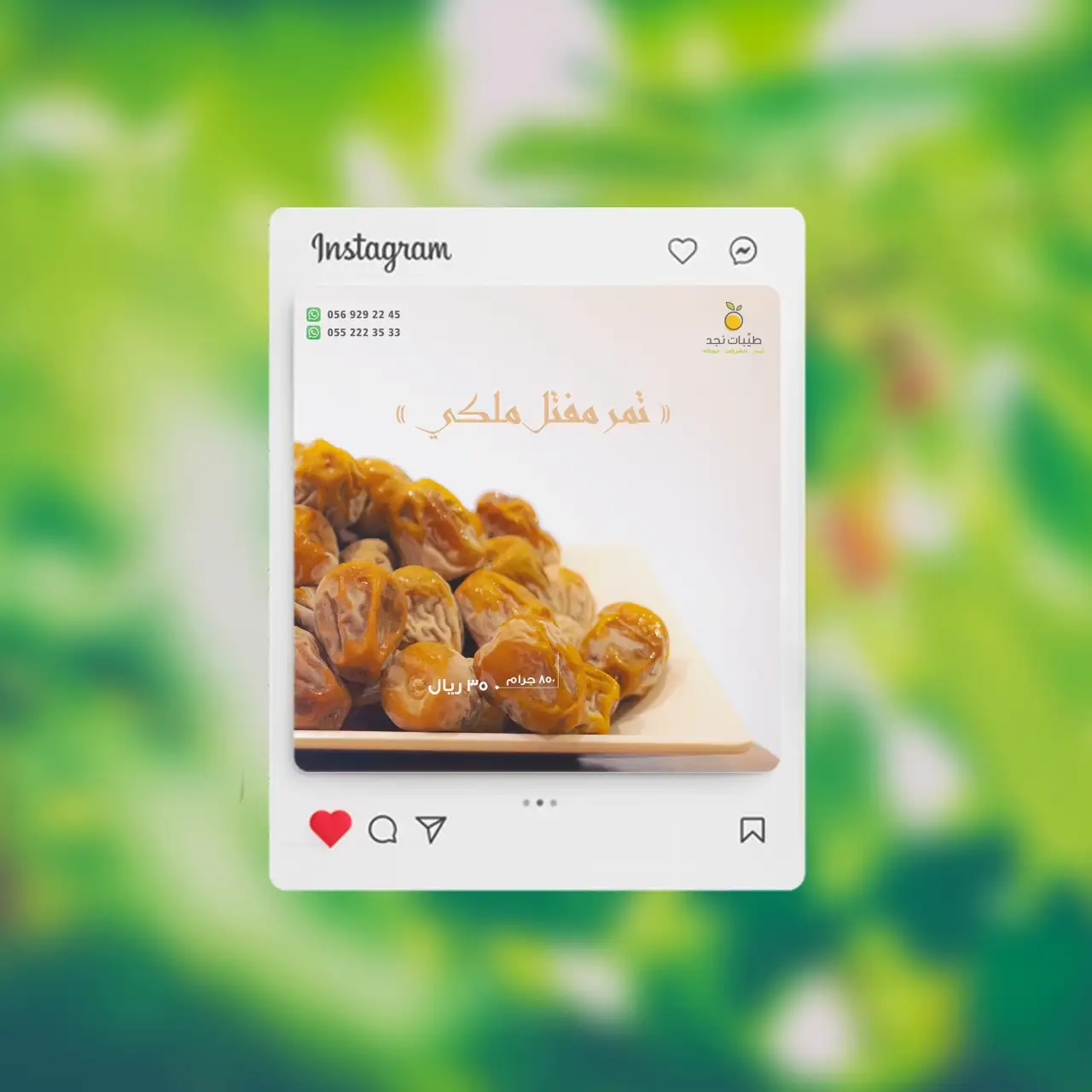 Taibat Najd for Vegetables and Fruits | GDA