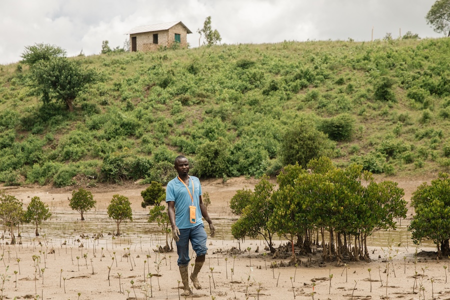 shades-of-earth's Impact with Greenspark