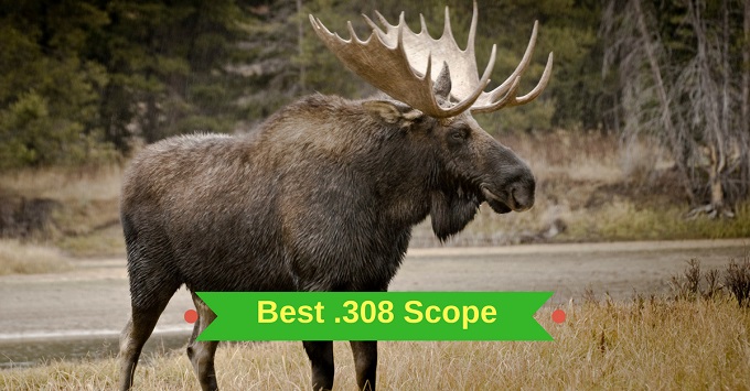 Best .308 Scope - Scope for Ideal All Round Hunting Cartridge
