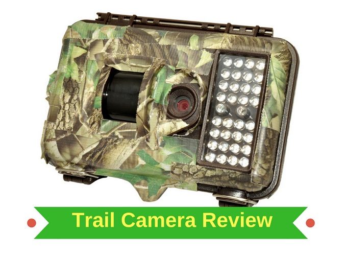 Trail Camera Review - Game Spotting & Patterning, Reliable Acute Sensor