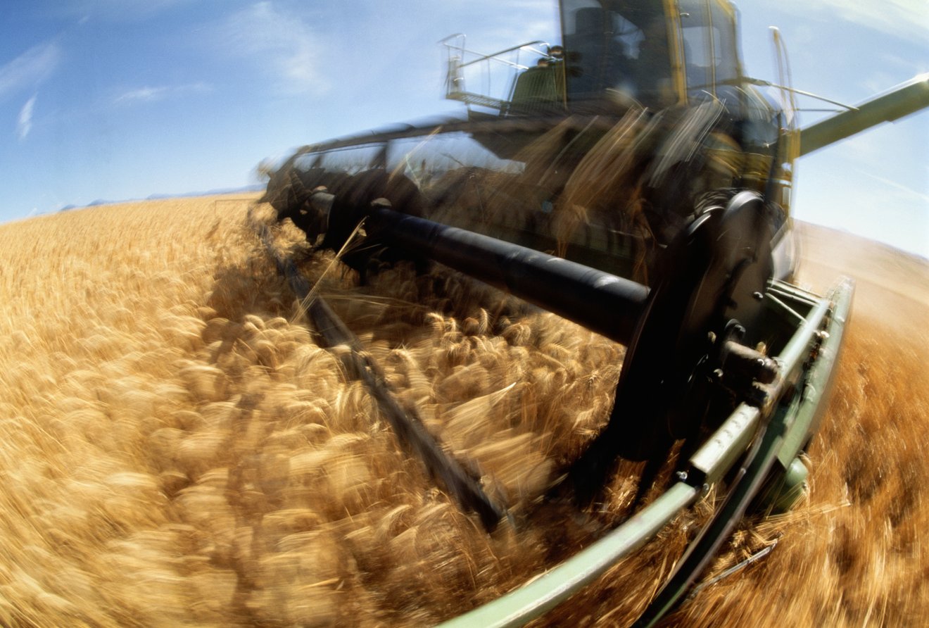 How data is transforming the food industry’s value chain | Google Cloud ...