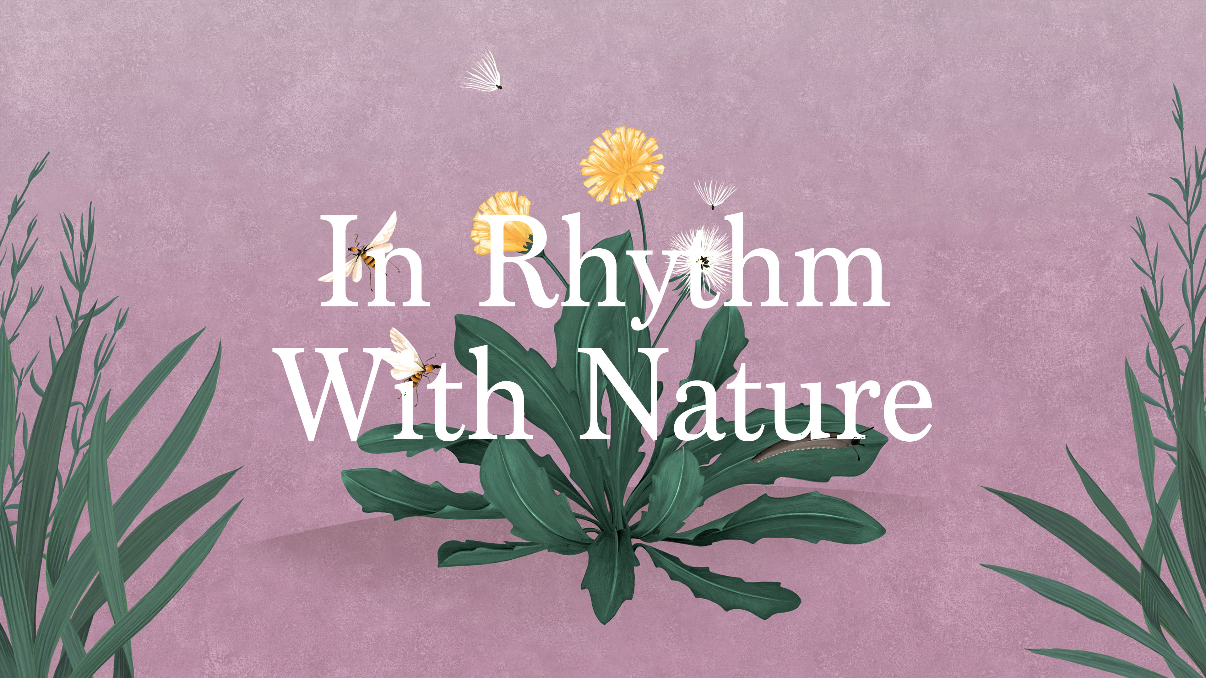 In Rhythm With Nature by Google Arts & Culture Lab, Google Wellbeing ...