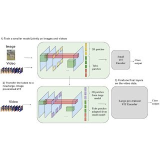 Sparse video tubes for joint video and image vision transformers