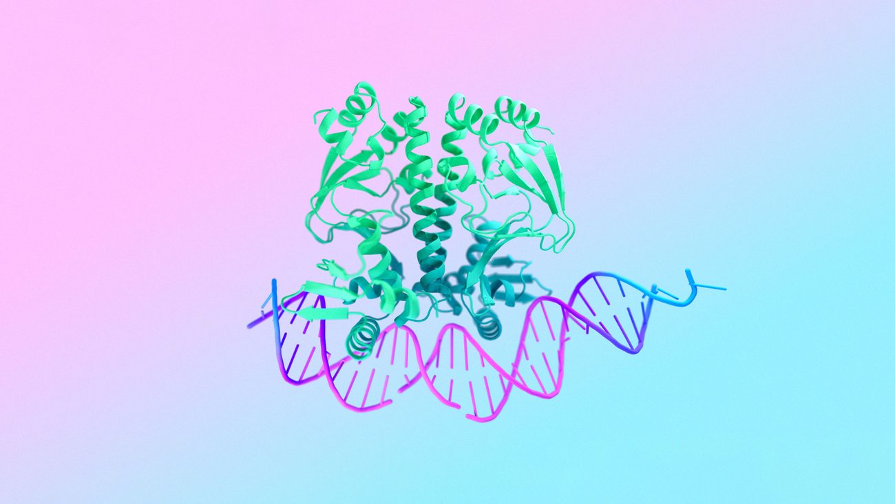 AlphaFold 3 predice la estructura y las interacciones de todas las moléculas de la vida