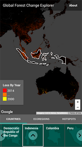 Bring the world’s changing forests inside the classroom
