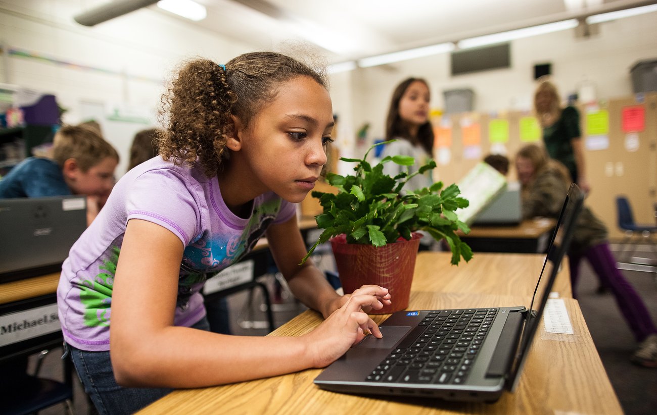 Coding for Conservation