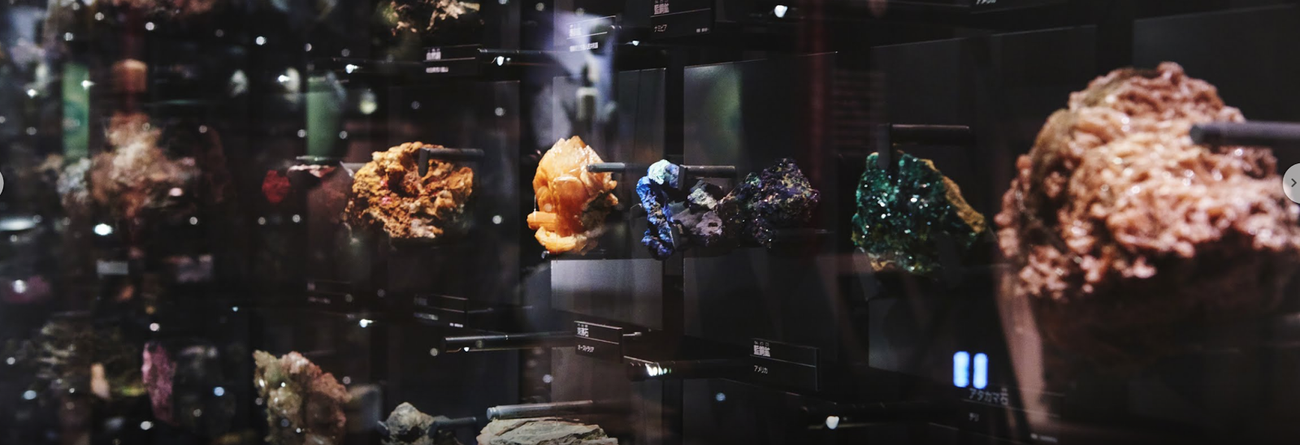 An extinct world brought back to life with Google Arts & Culture