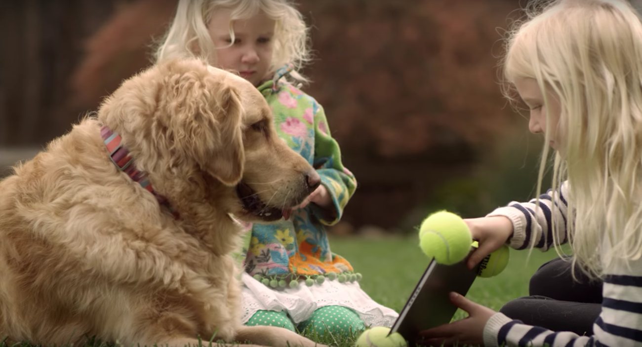 Throwing your dog a bone: Google now works purr-fectly for your furry ...
