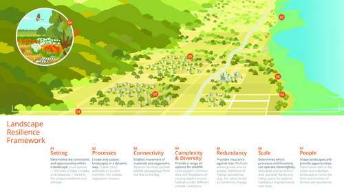 Ecology at Google brings holistic design to our outdoor environments