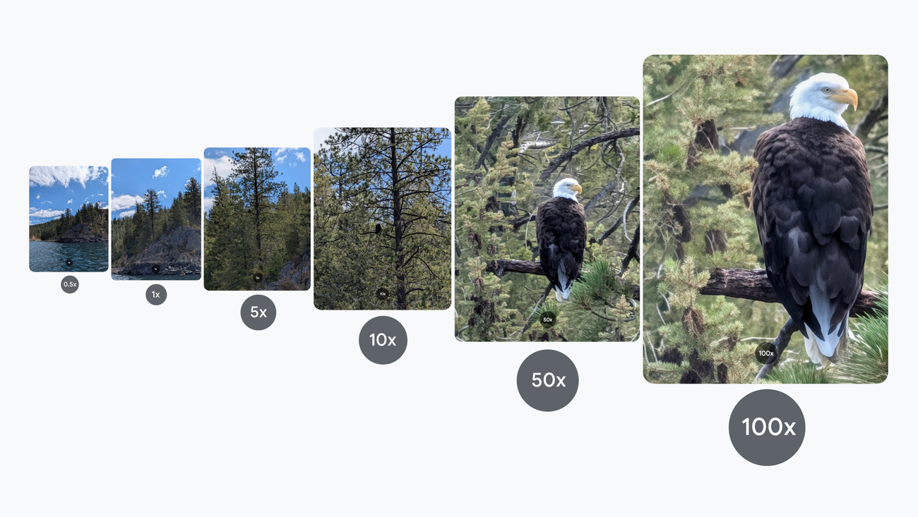 Check out these images taken with Pixel’s new zoom tech
