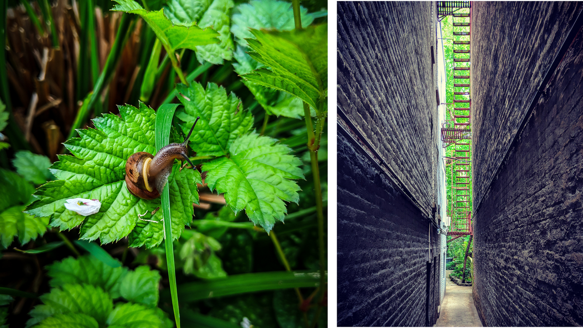 #teampixel is very verde this week