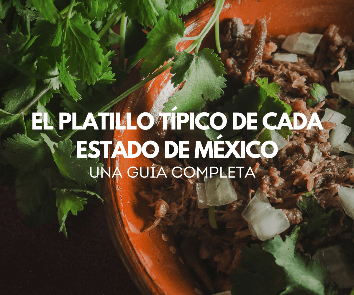 El platillo típico de cada estado de México: Una guía completa