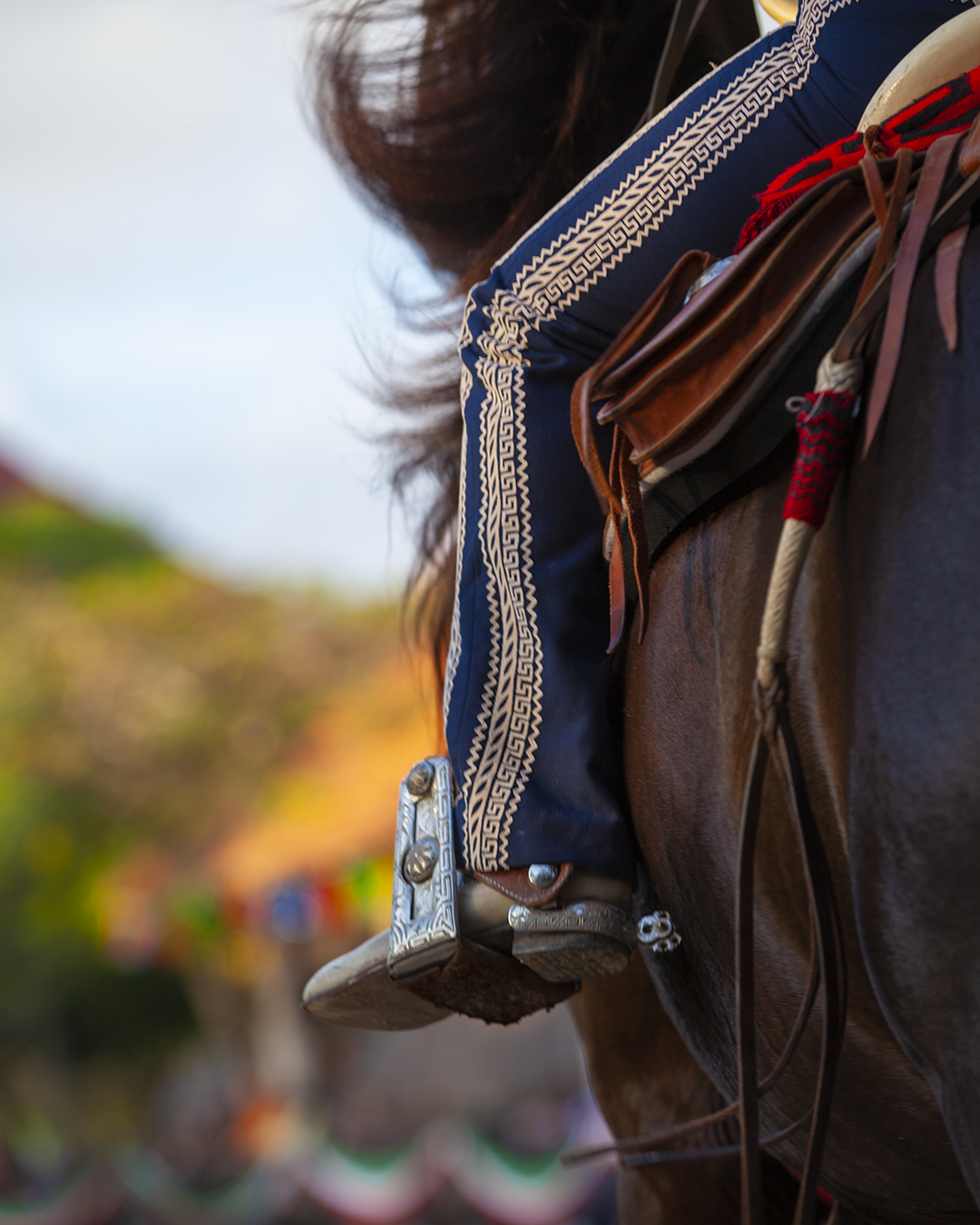 The Charrería: a Mexican tradition that we pass on to the world