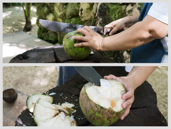 5 Things you will learn at the Coconut workshop in Xcaret - Xcaret Blog ...