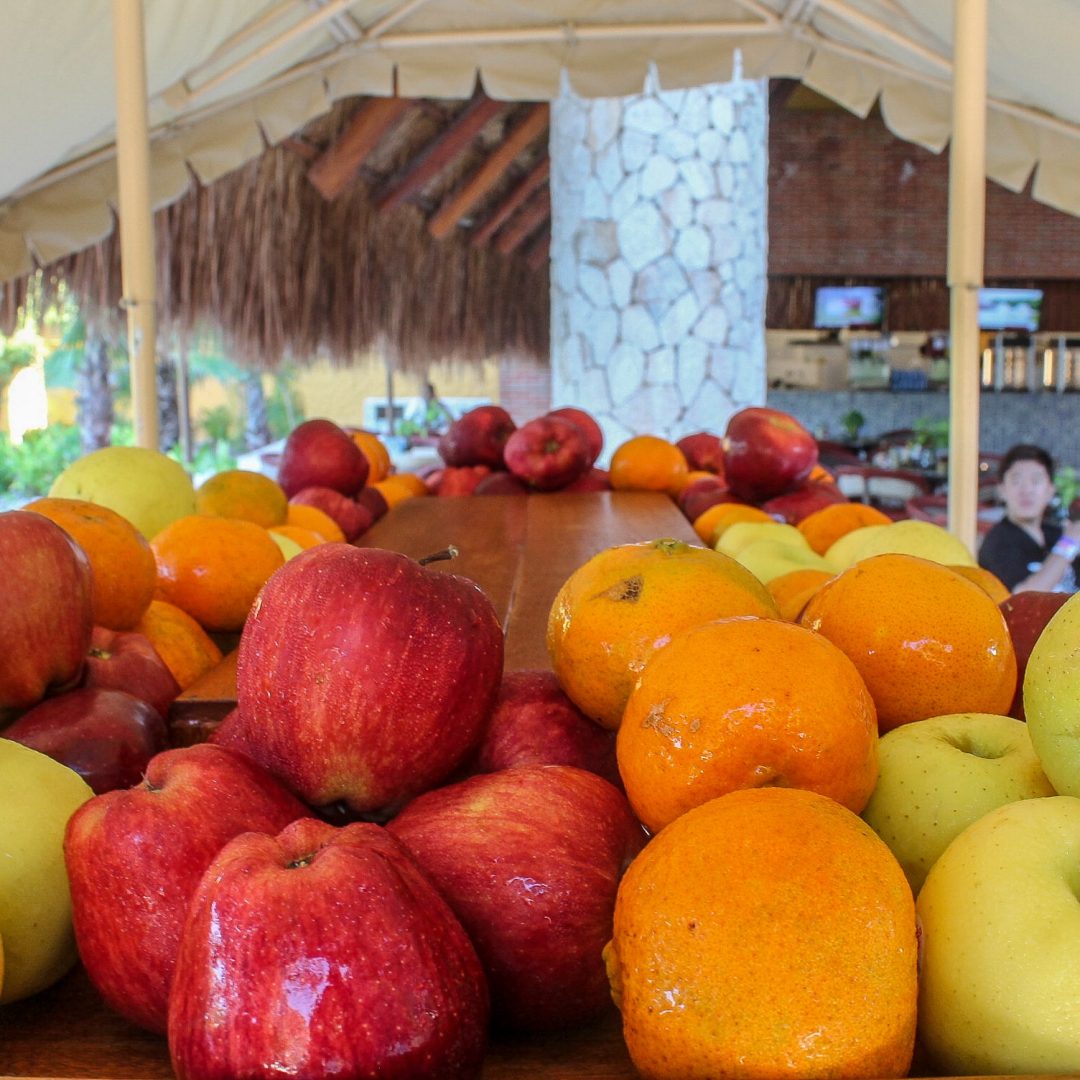 Food at Xavage park: everything you can find at the Xnack